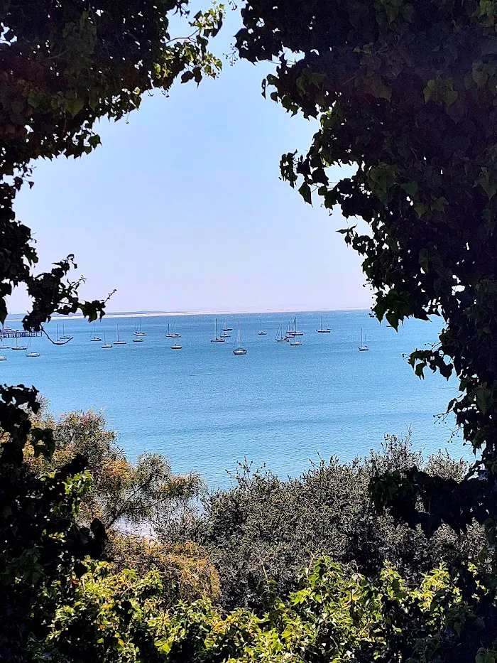 Flying Flags Avila Beach: Your Coastal Camping Retreat in Avila Beach
