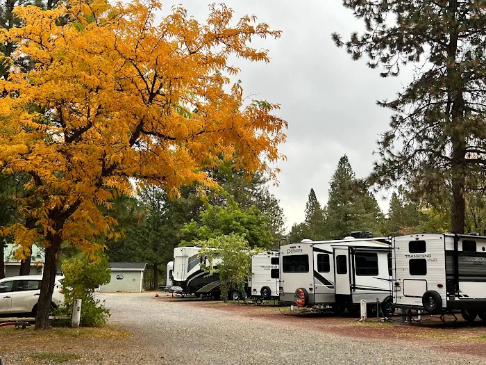 Trailer Lane Campground: Your Comfortable Basecamp for Exploring Mount ...