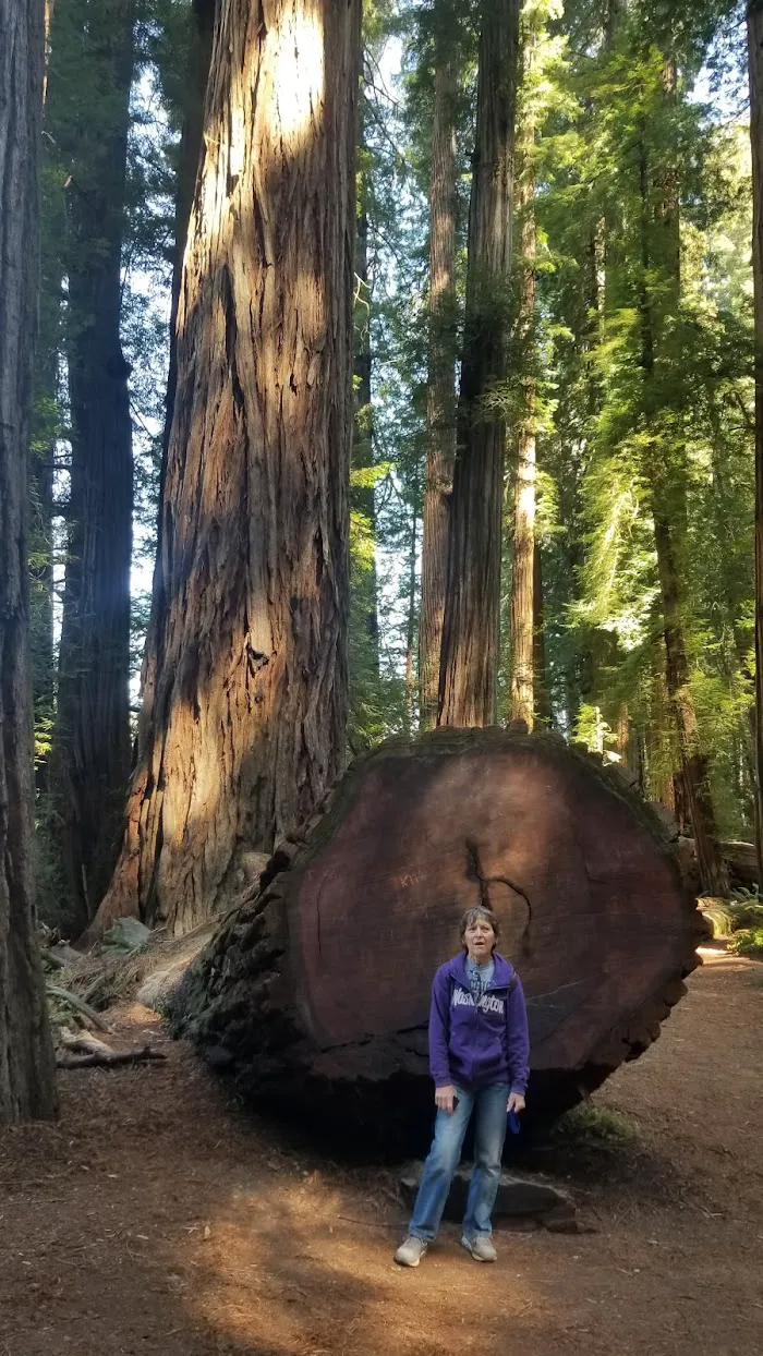 Redwood National and State Parks: Majestic Giants and Coastal Wonders