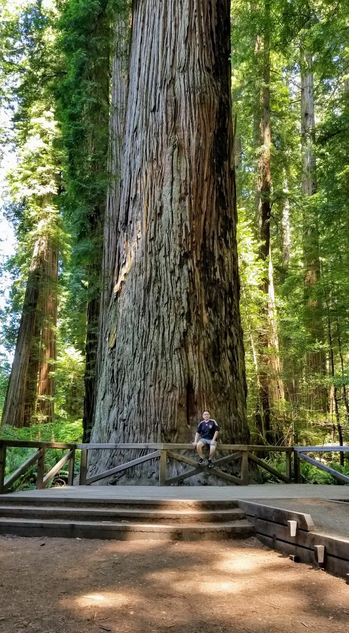Redwood National and State Parks: Majestic Giants and Coastal Wonders