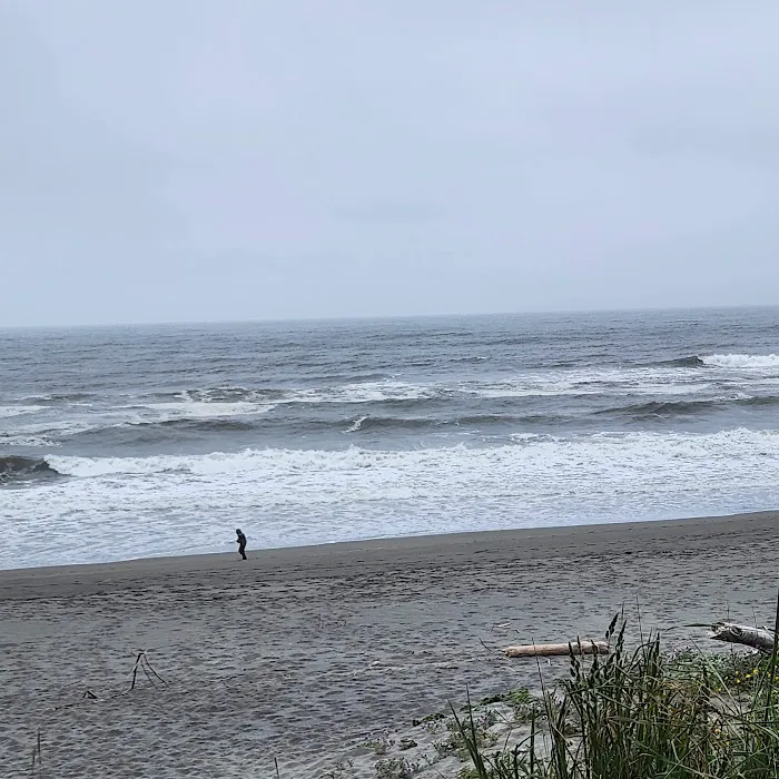 Redwood National and State Parks: Majestic Giants and Coastal Wonders